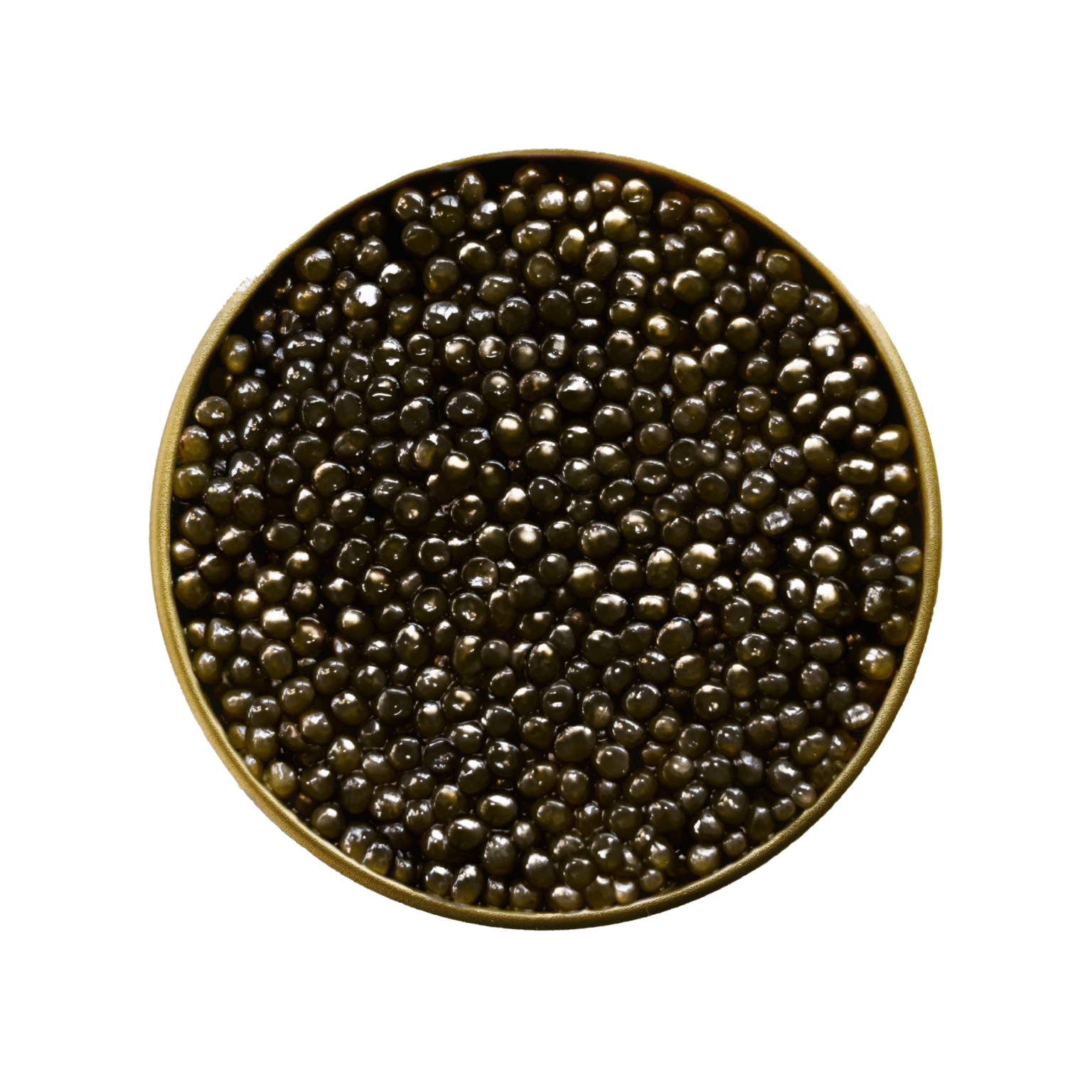 ALTIMA CAVIAR - ALTIMA CAVIAR