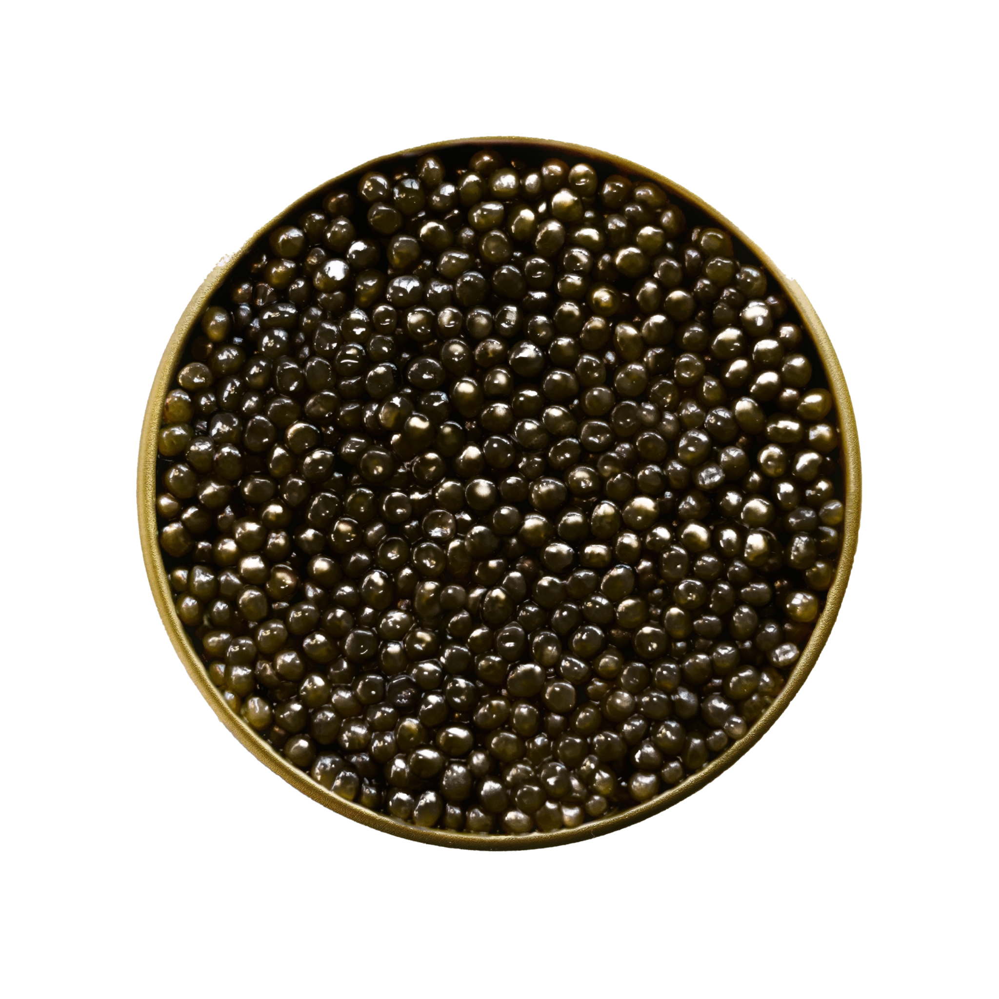 ALTIMA CAVIAR - ALTIMA CAVIAR
