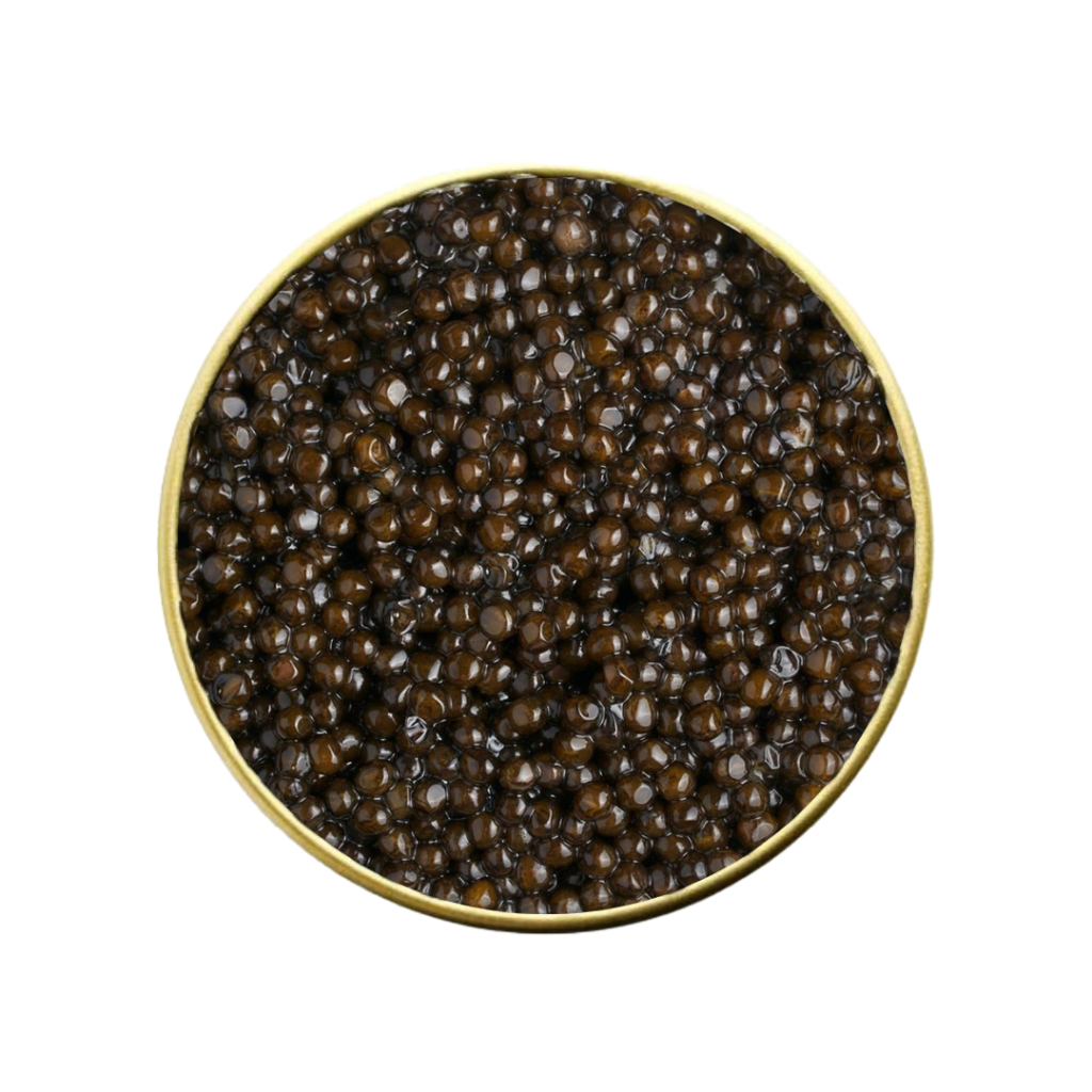 ALTIMA CAVIAR - ALTIMA CAVIAR